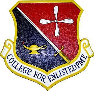 College for Enlisted Professional Military Education (PME) Crest Plaque